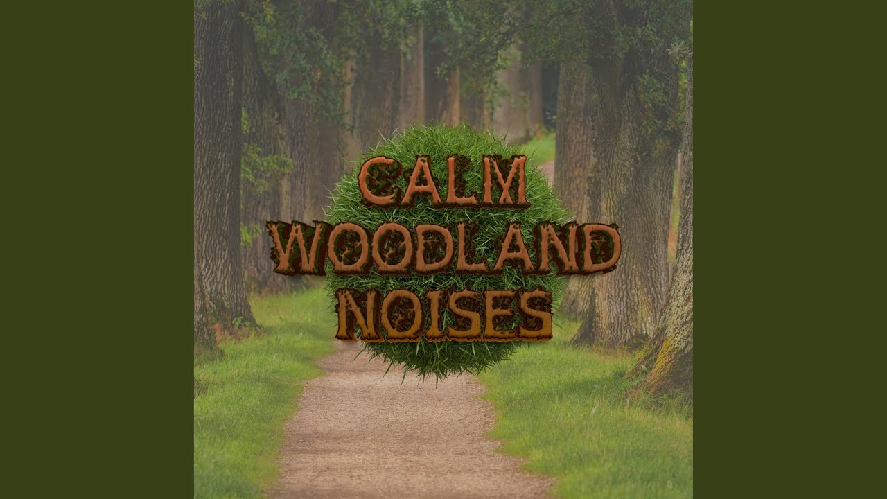Woodland Sounds For Deep Relaxation - YouTube