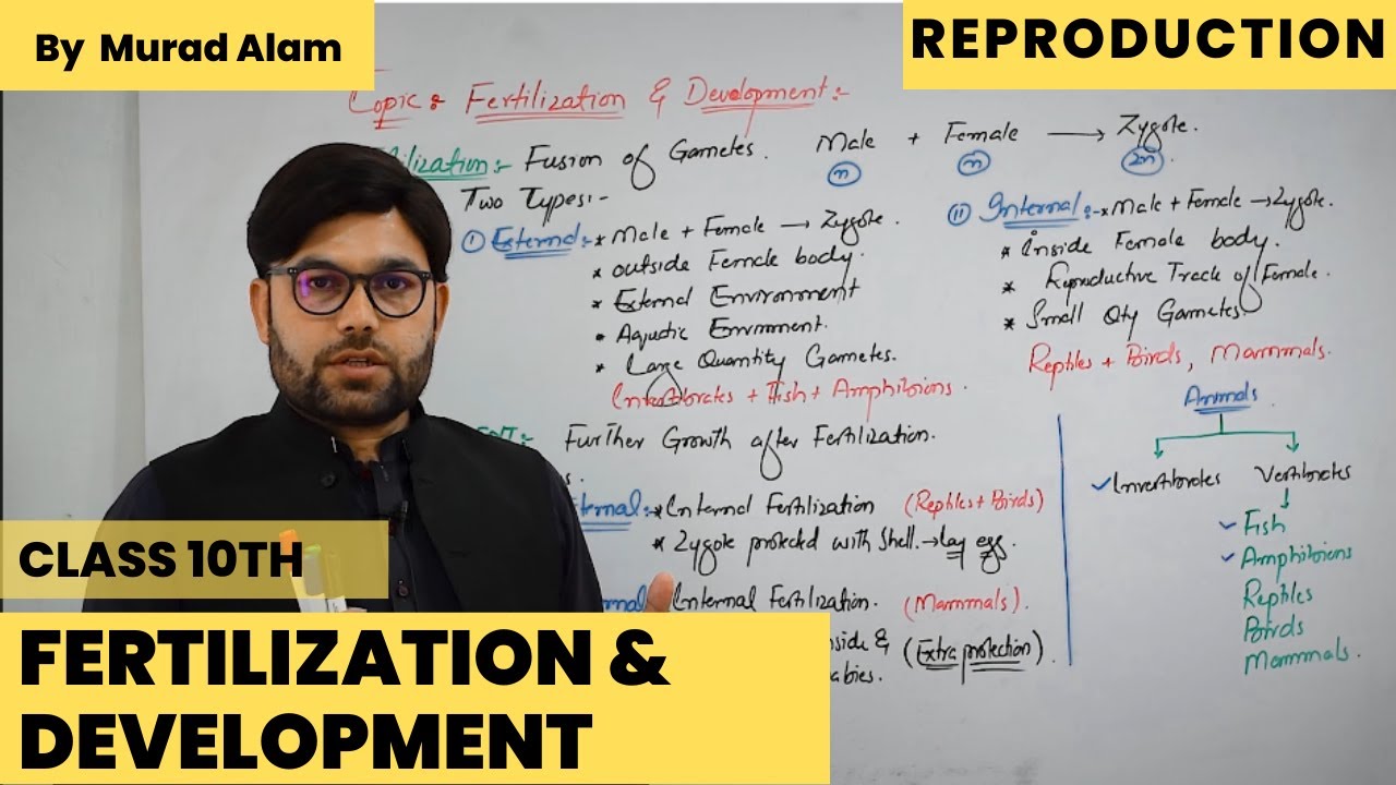 Fertilization And Development l Biology 10th Urdu/Hindi l Ch ...