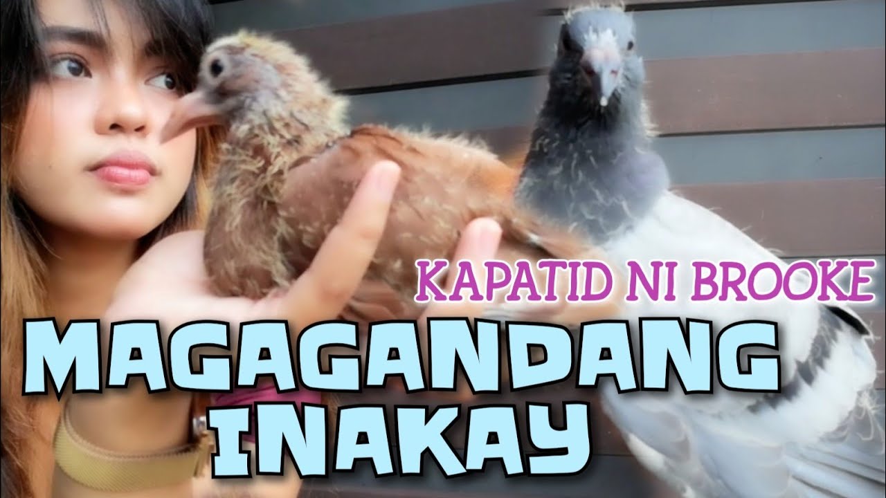 MAGAGANDANG INAKAY: UPDATE KALAPATI GIRL PHILIPPINES - YouTube