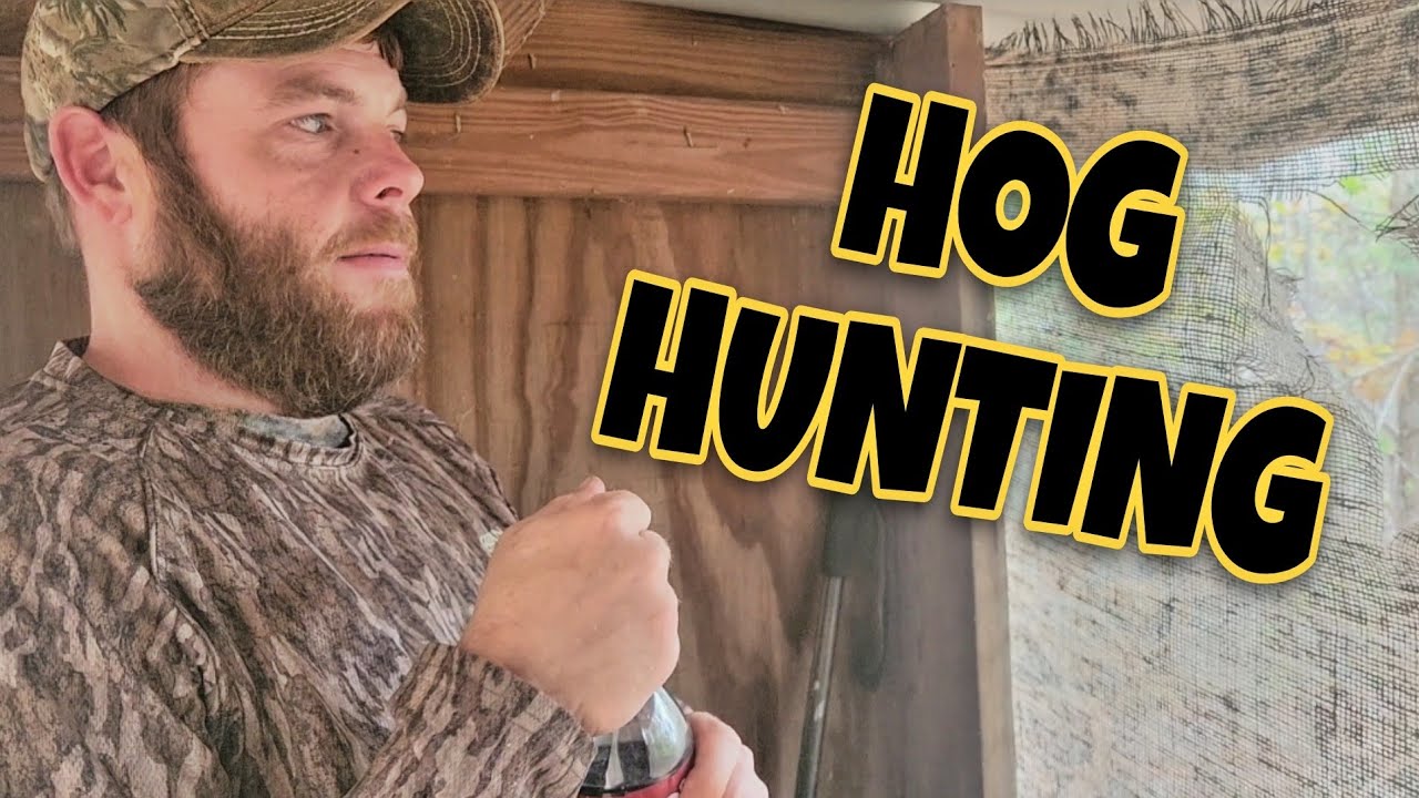 Let's go HOG HUNTING !! - YouTube
