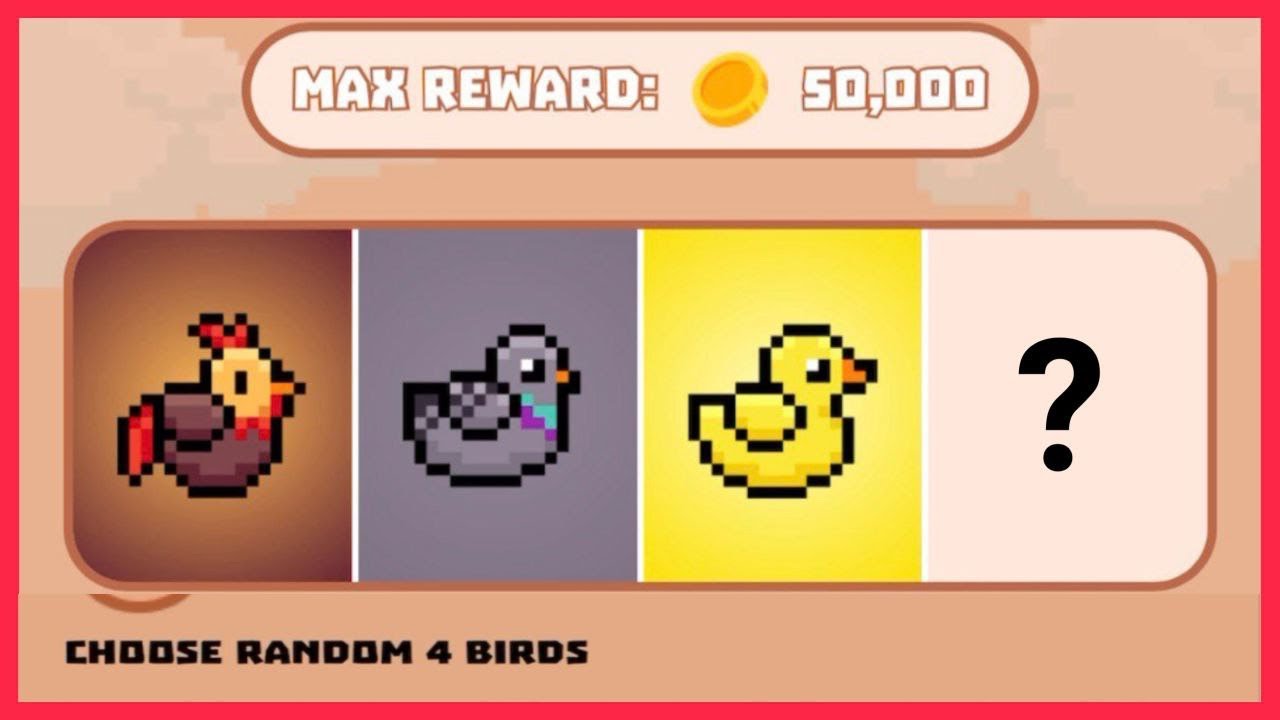 Bird Daily Combo Today 16 January | Bird Combo Today | Daily Combo Bird ...