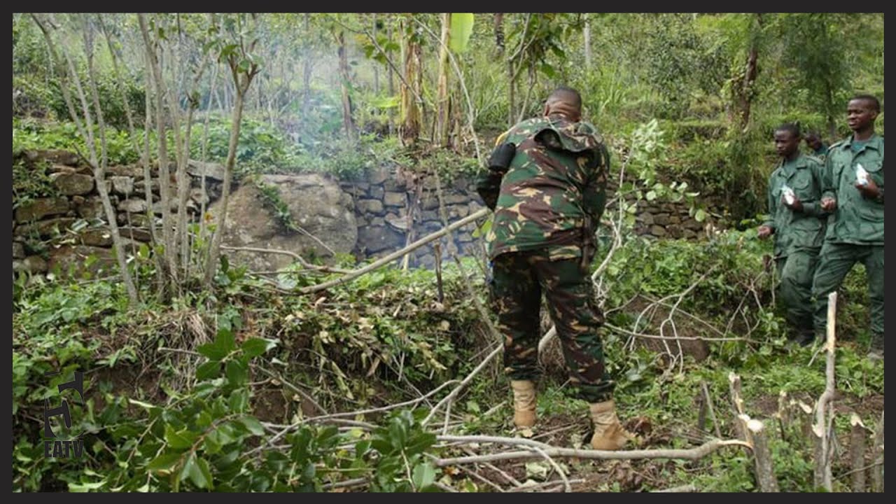 HATARI YA MIRUNGI NA BANGI SAME NA ARUSHA - YouTube