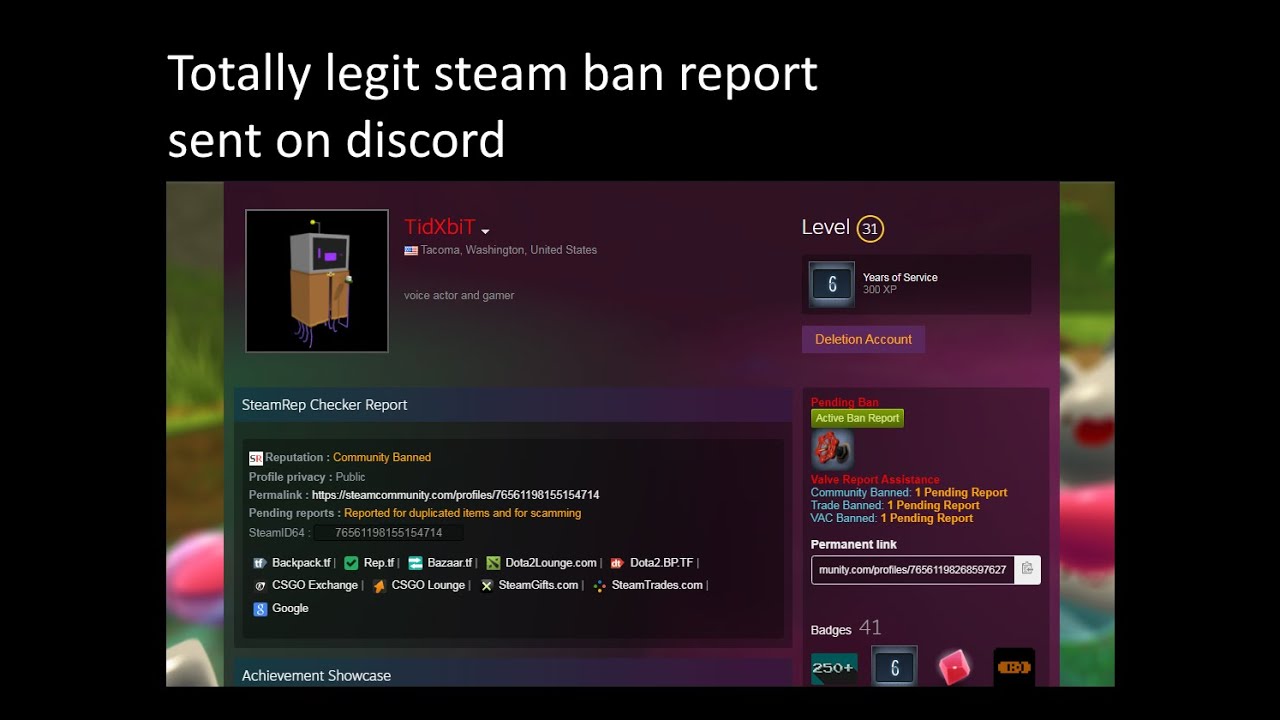Totally legit steam ban report sent on discord - YouTube