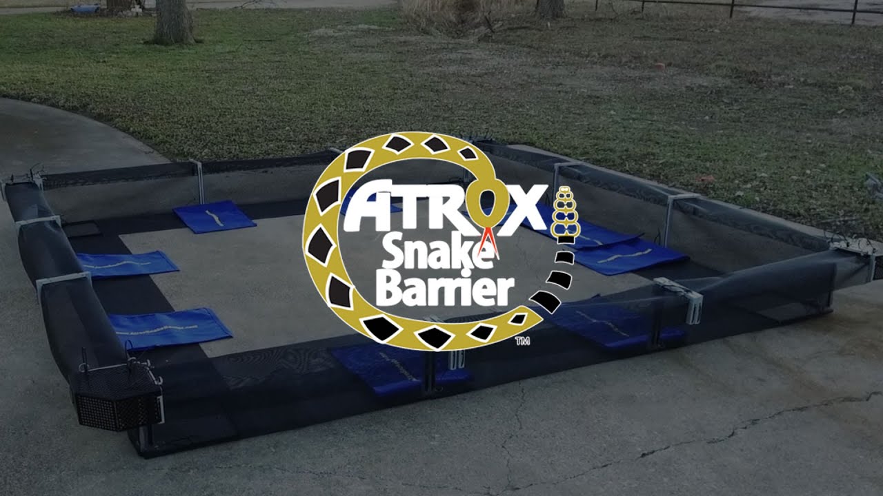 Atrox Snake Barrier Setup and Takedown - YouTube