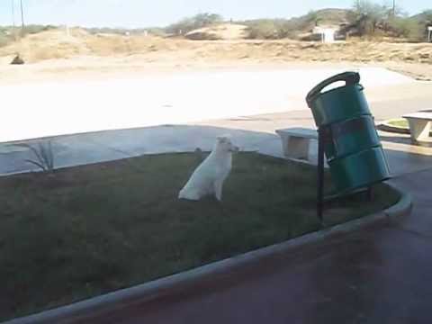 Mazocahui, Baviácora, Sonora - YouTube