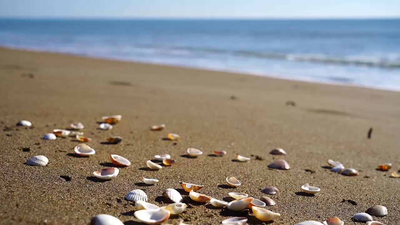 Tropical Beach Ambience: 1 Hour of Peaceful Ocean Waves (4K Video ...