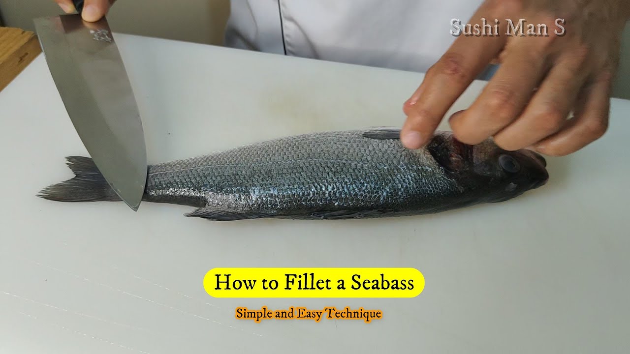 How to Fillet a Seabass with Sushi Man Santosh - YouTube