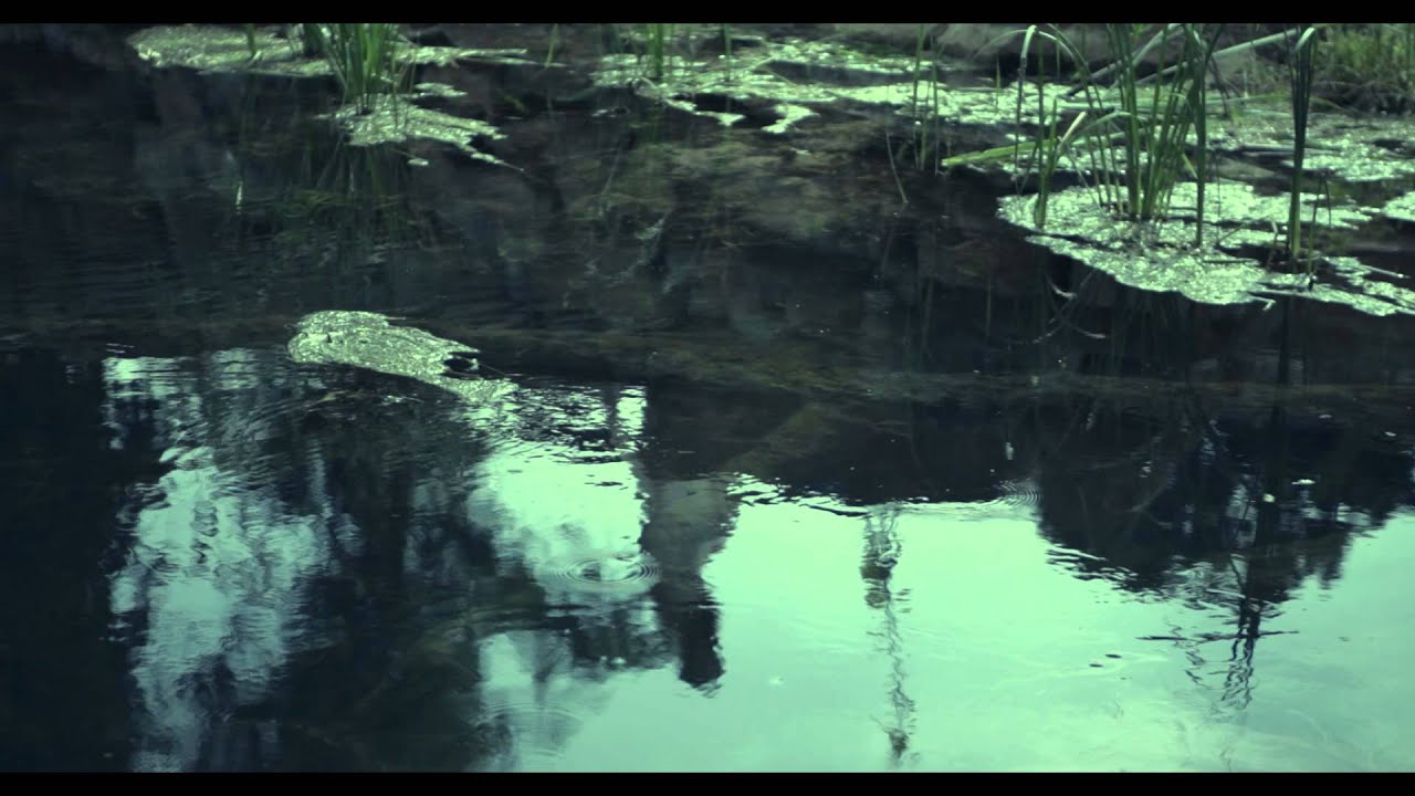 MV Seagull - YouTube