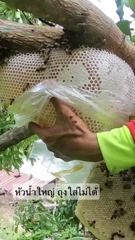 April 5, 2023 - YouTube