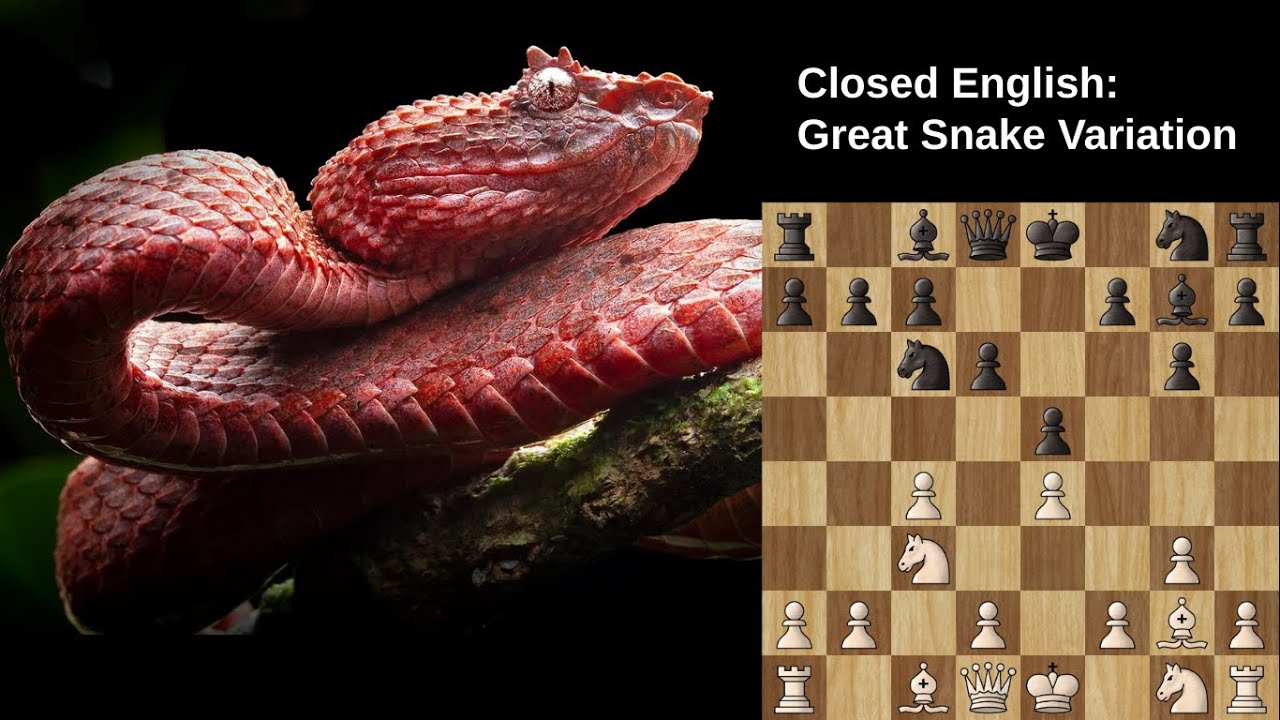 Fighting the Great Snake Variation | The English Opening | - YouTube