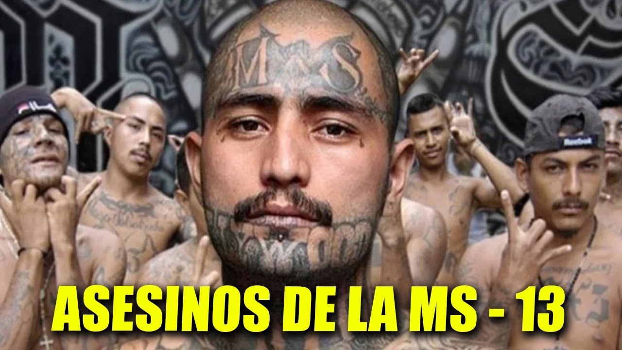 Los ASESINOS de la MS-13 ¿ qué fué de la MARA SALVATRUCHA?🤯🤬 - YouTube