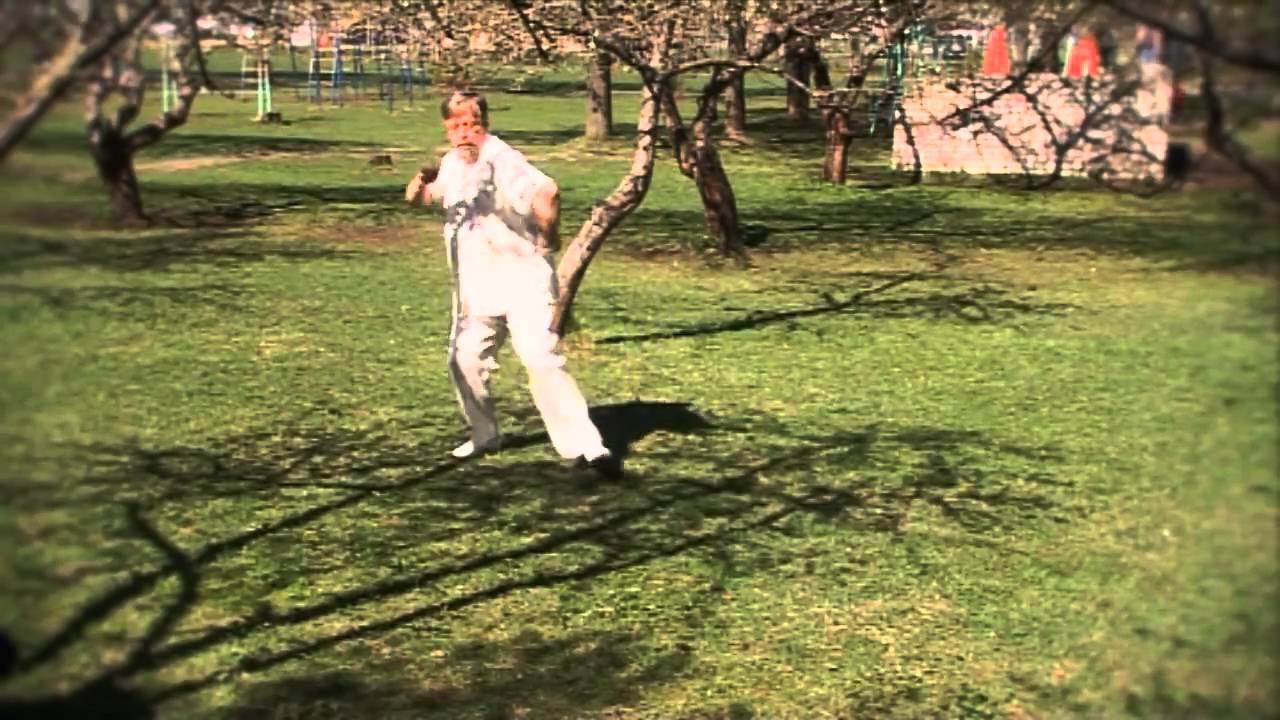 Jostas meridiāns - Поясной меридиан - The Belt Meridian: Dai Mai - YouTube