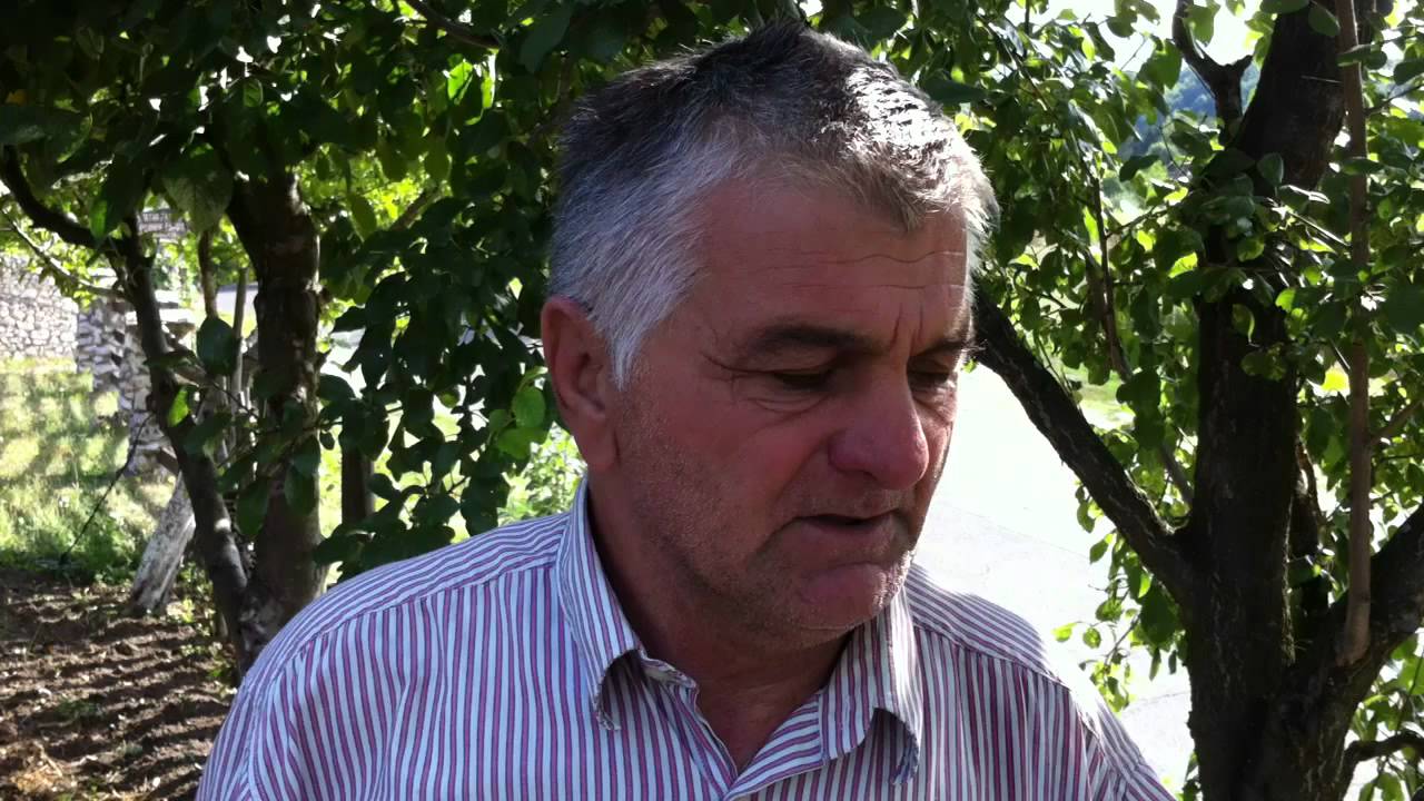 Rakija od šljive ranke - YouTube