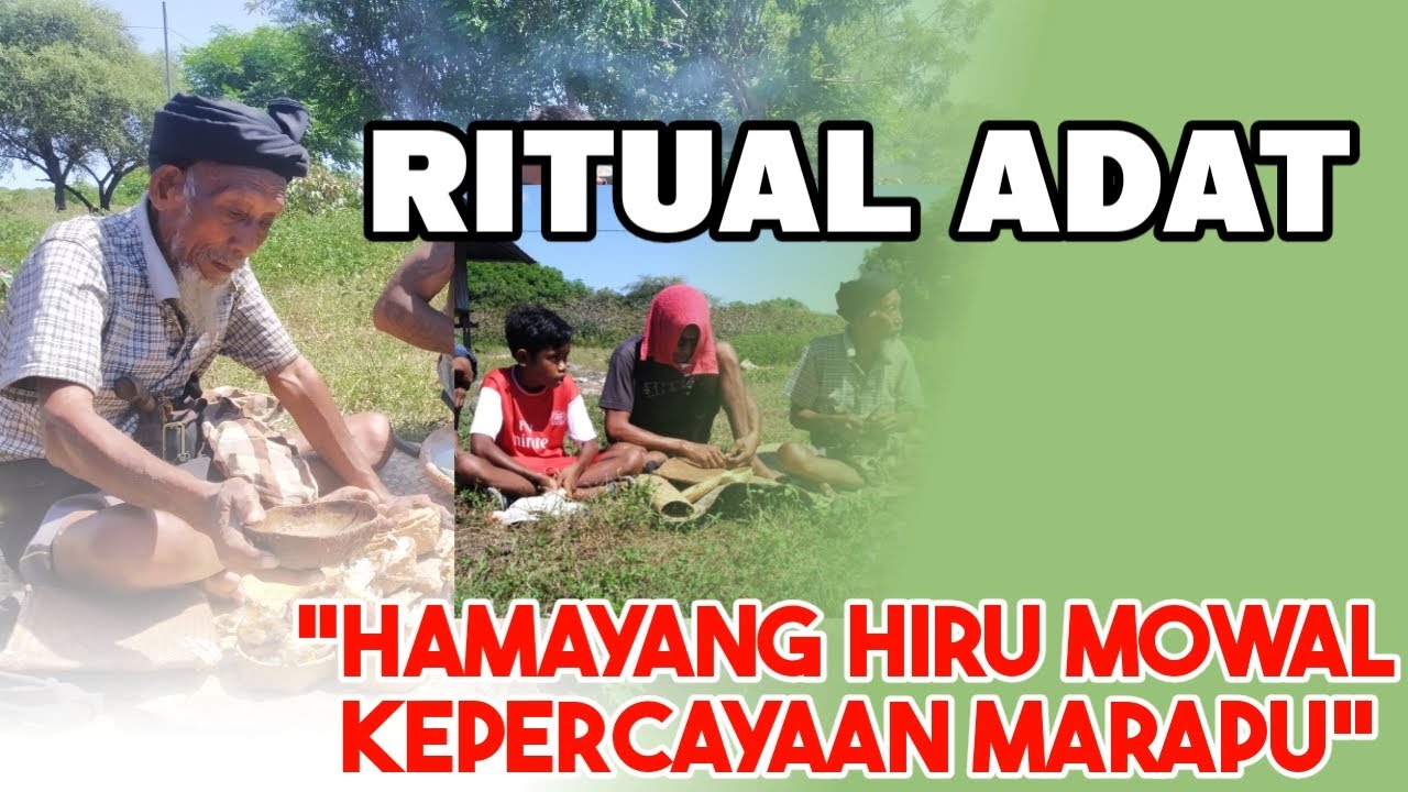 Ritual/Hamayang Hiru Mowal Kepercayaan Lokal (Marapu) di Sumba Timur # ...