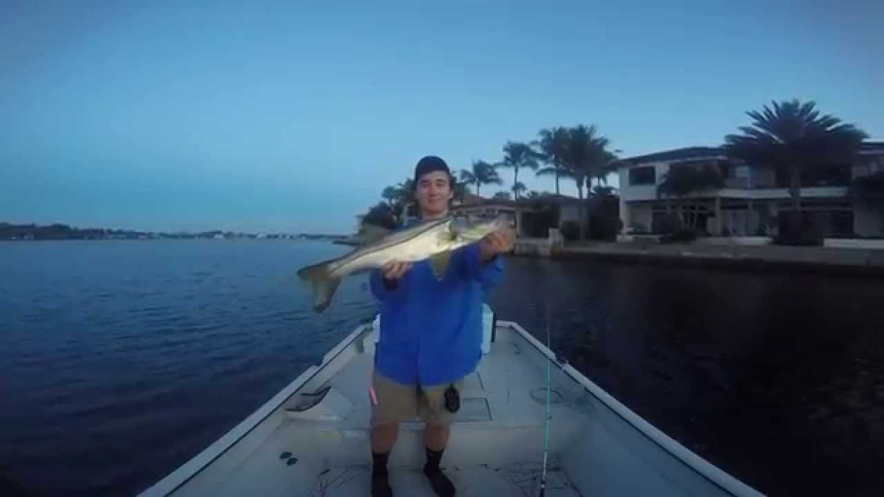 small topwater snook - YouTube