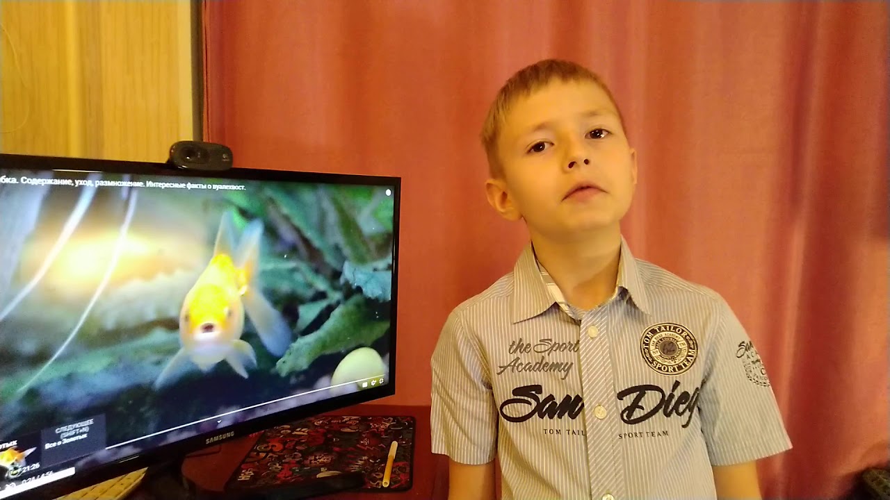 Ilya Sofronov. Goldfish. - YouTube