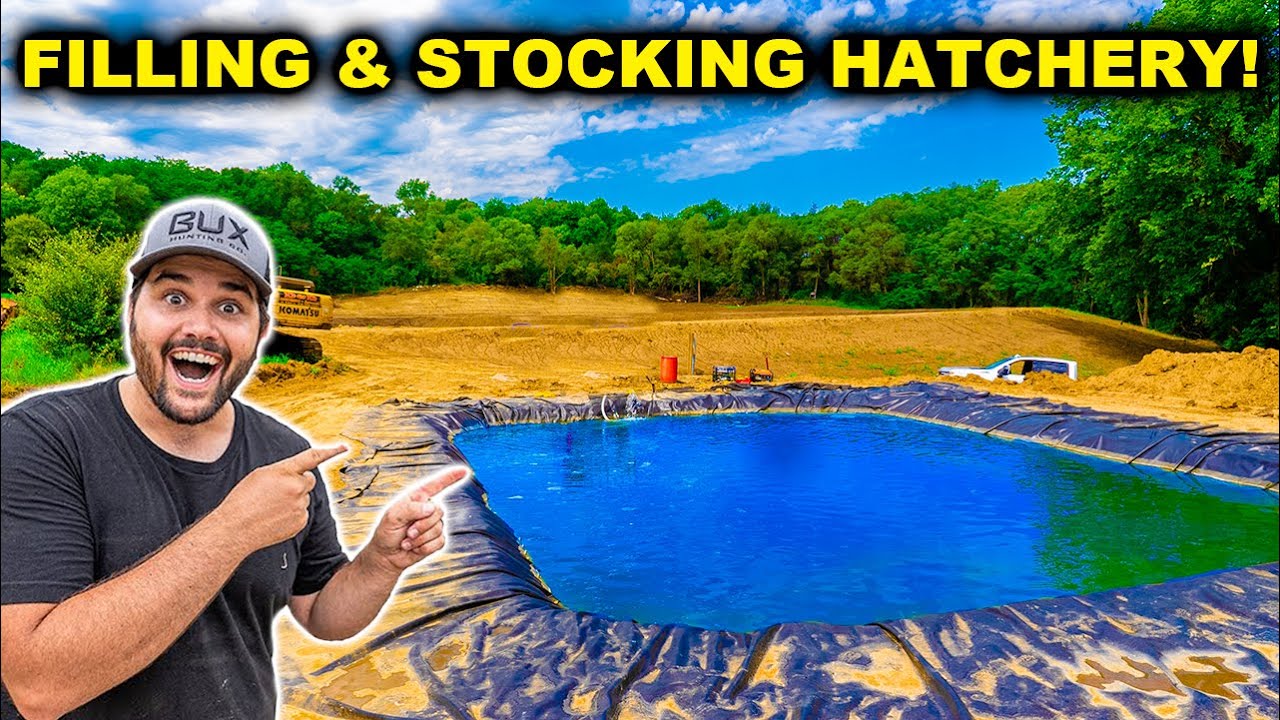 FILLING and STOCKING My BACKYARD Fish HATCHERY for the First Time ...