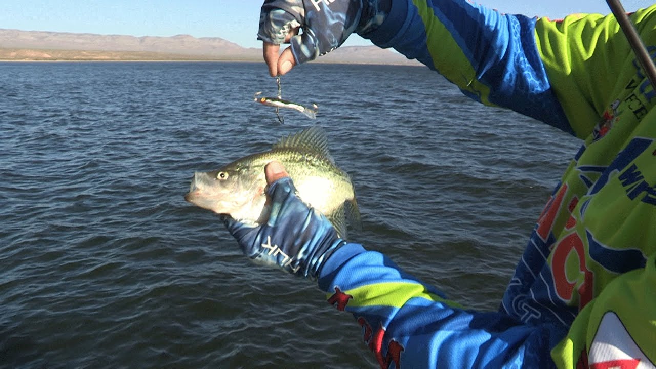 Fishing with Johnny Johnson - Crappie at Roosevelt Lake, AZ - YouTube