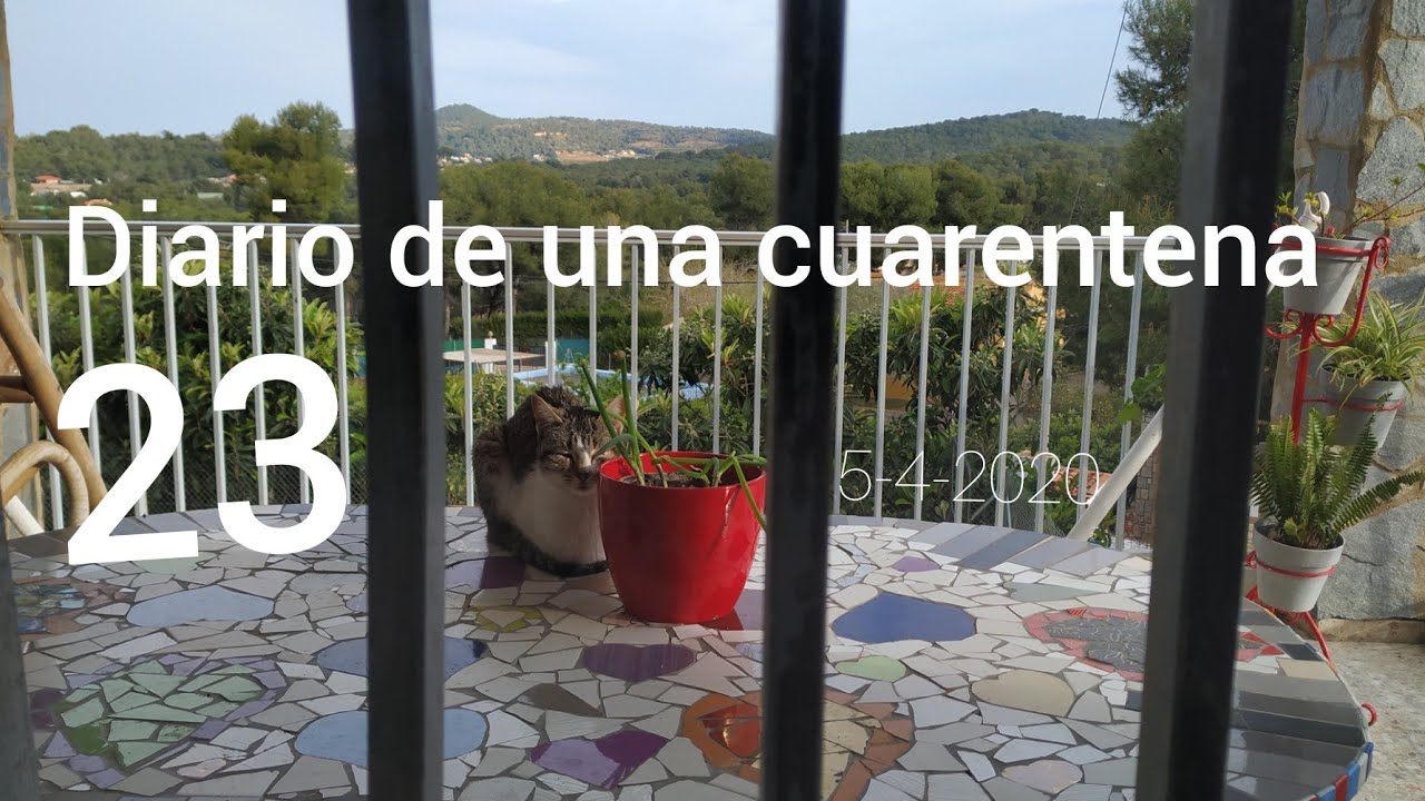 Diario de una cuarentena. Día 23 - YouTube