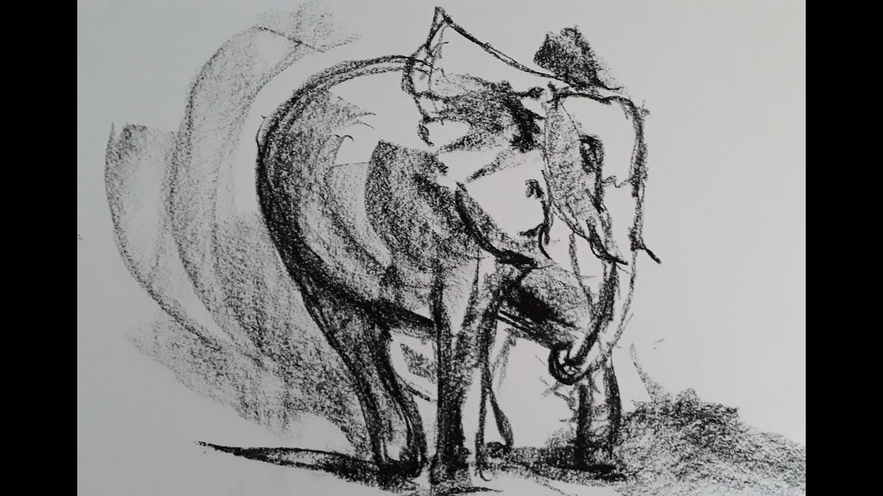 Drawing moving animals by Caroline Marsland - YouTube