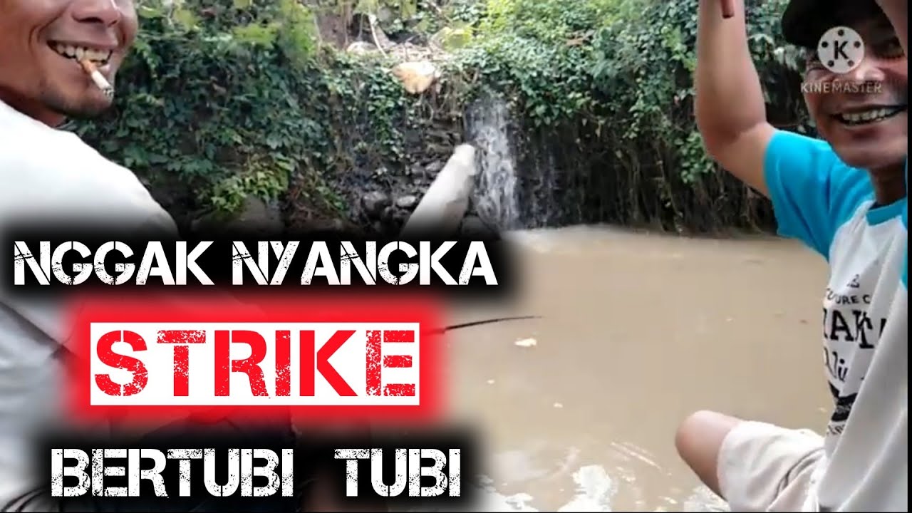 Mancing ikan, nggak nyangka strike bertubi tubi, mancing ikan, mancing ikan wader di sungai ...