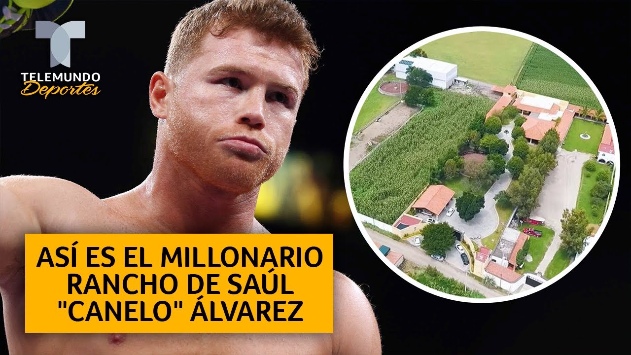 Así es el millonario rancho de Saúl "Canelo" Álvarez | Telemundo ...