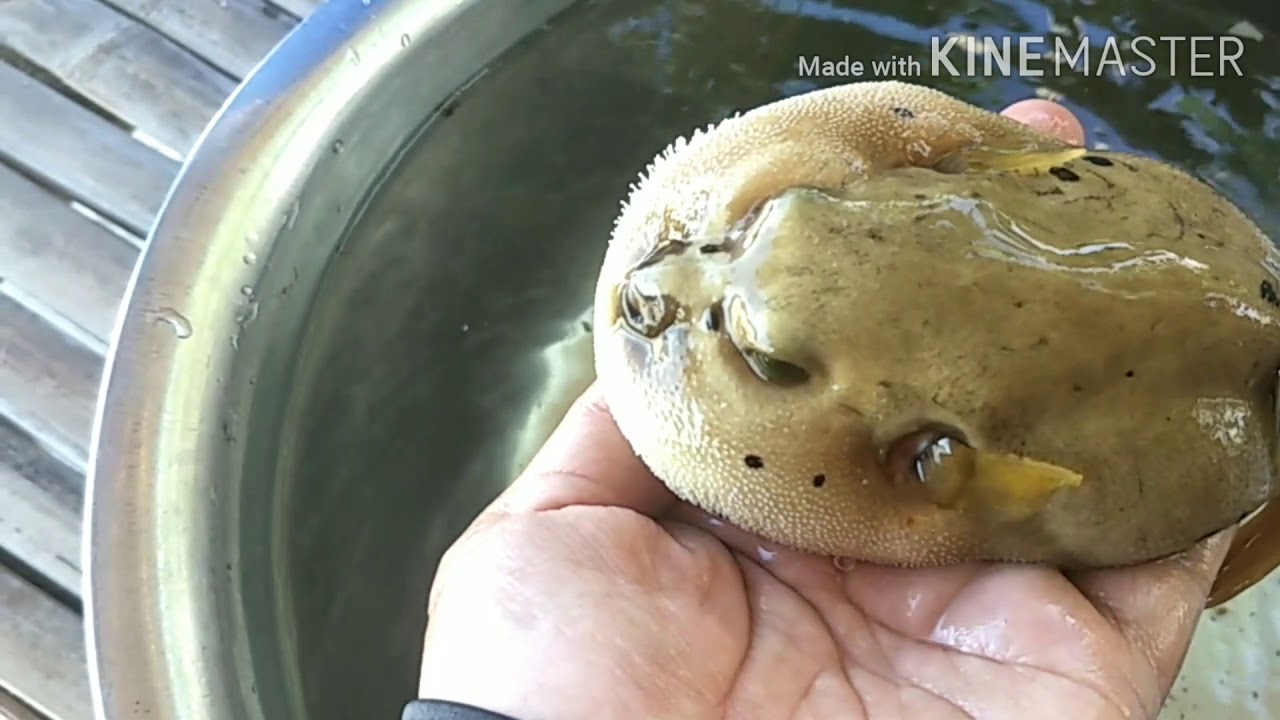 Buyayao Island Day 1 - YouTube