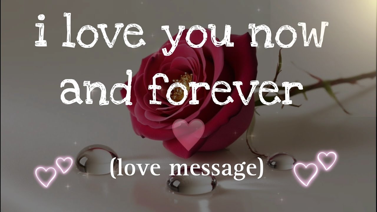 i love you 💗 now and forever ️ love message - YouTube