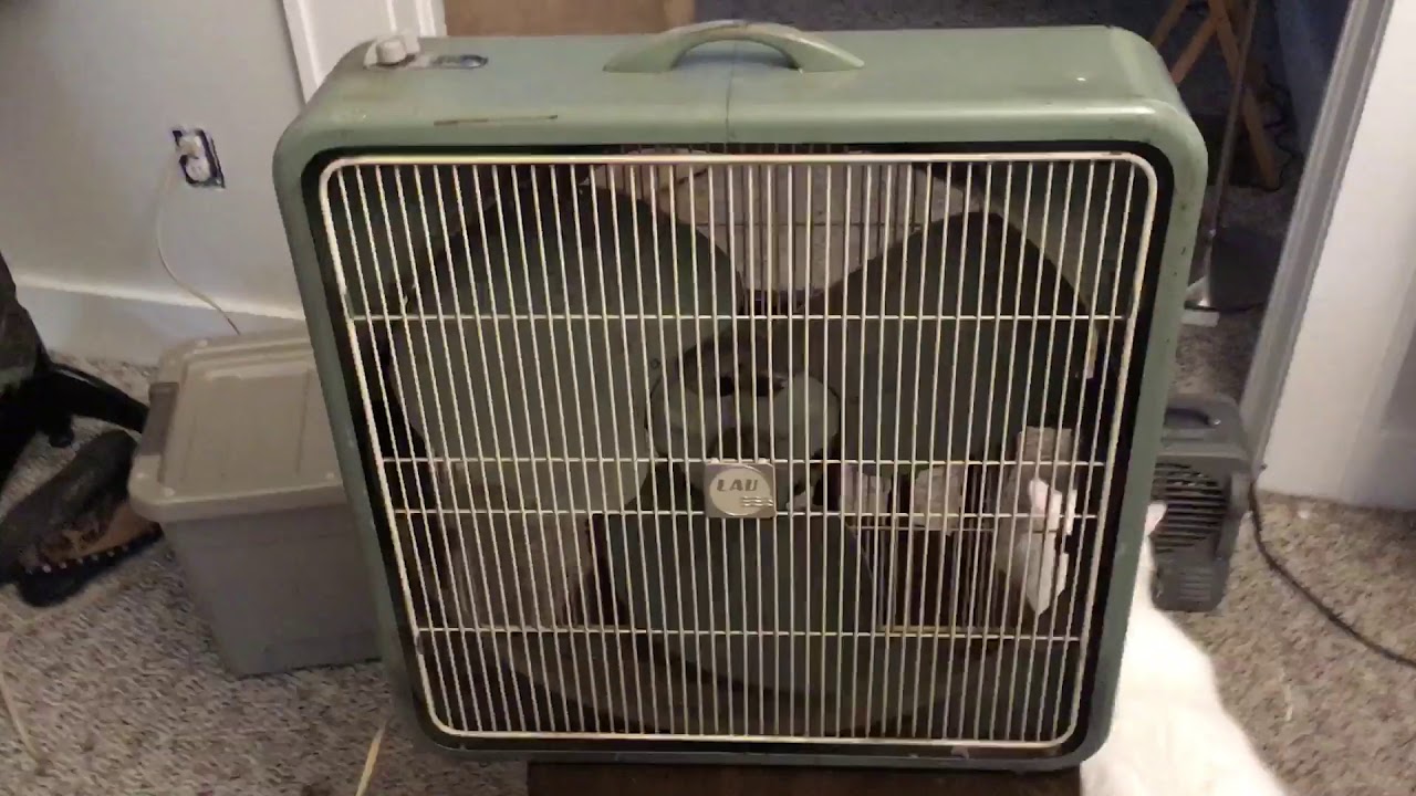 20 inch lau box fan - YouTube
