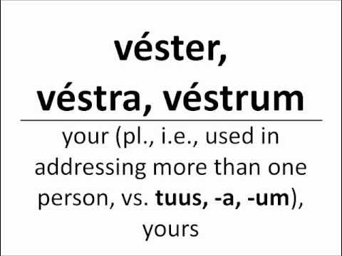 Wheelock's Latin - Chapter 06 vocabulary - YouTube