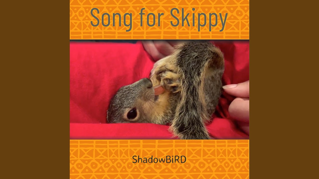 Song for Skippy - YouTube