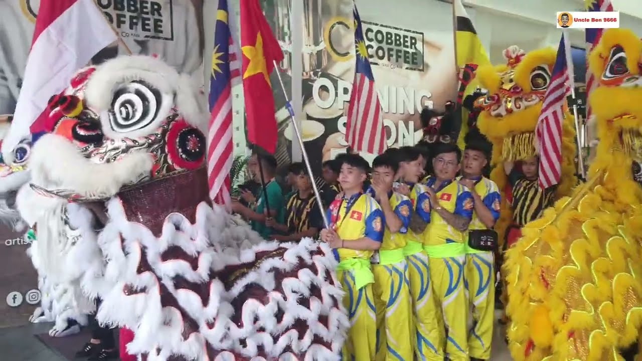 2022 Southeast Asian Lion Dance Championship Opening Ceremony @ The ...