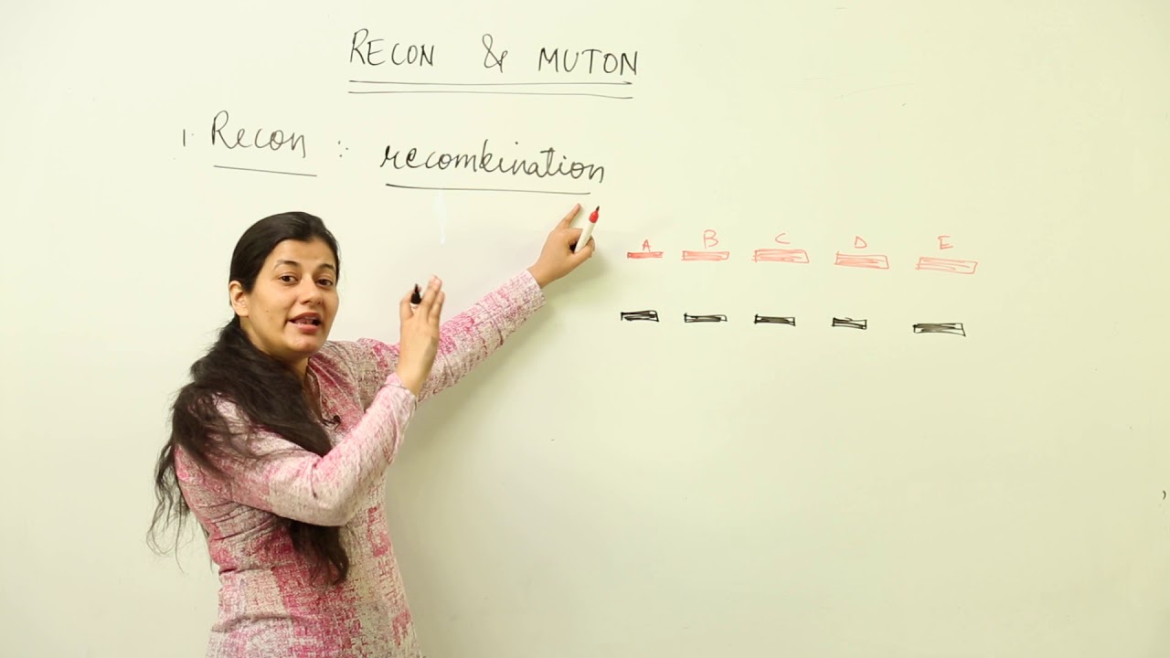 ON DEMAND LECTURE l recon & muton l ICSE l SECTION C l CLASS 12 BIOLOGY ...