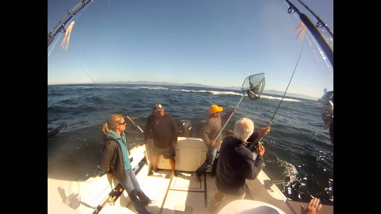 Hindsight fishing: new link, https://vimeo.com/64471322 - YouTube