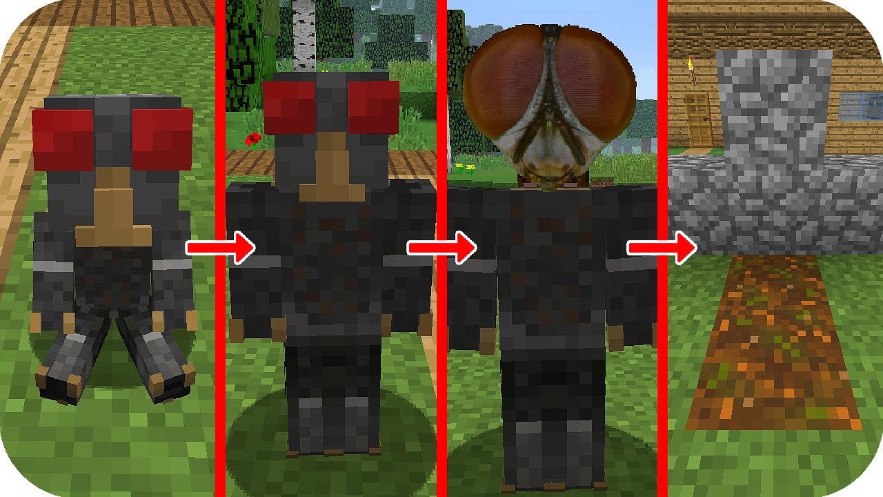 🐷 MOSCA VS LA VIDA - MINECRAFT BEBE AENH - YouTube