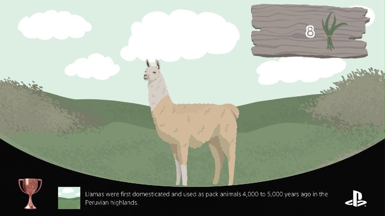 The Llama L ~ Llamas were first domesticated and used as pack animals ...