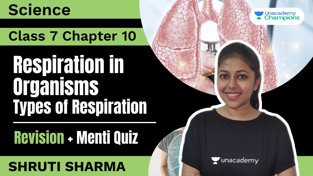 Respiration in Organisms | Types of Respiration | Class 7 Science ...