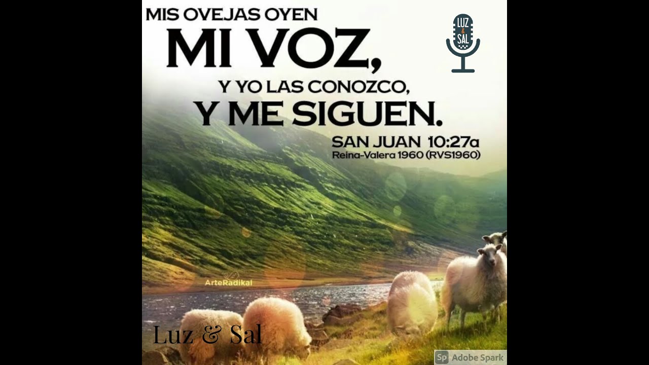 Mis ovejas oyen mi voz y me siguen, - YouTube