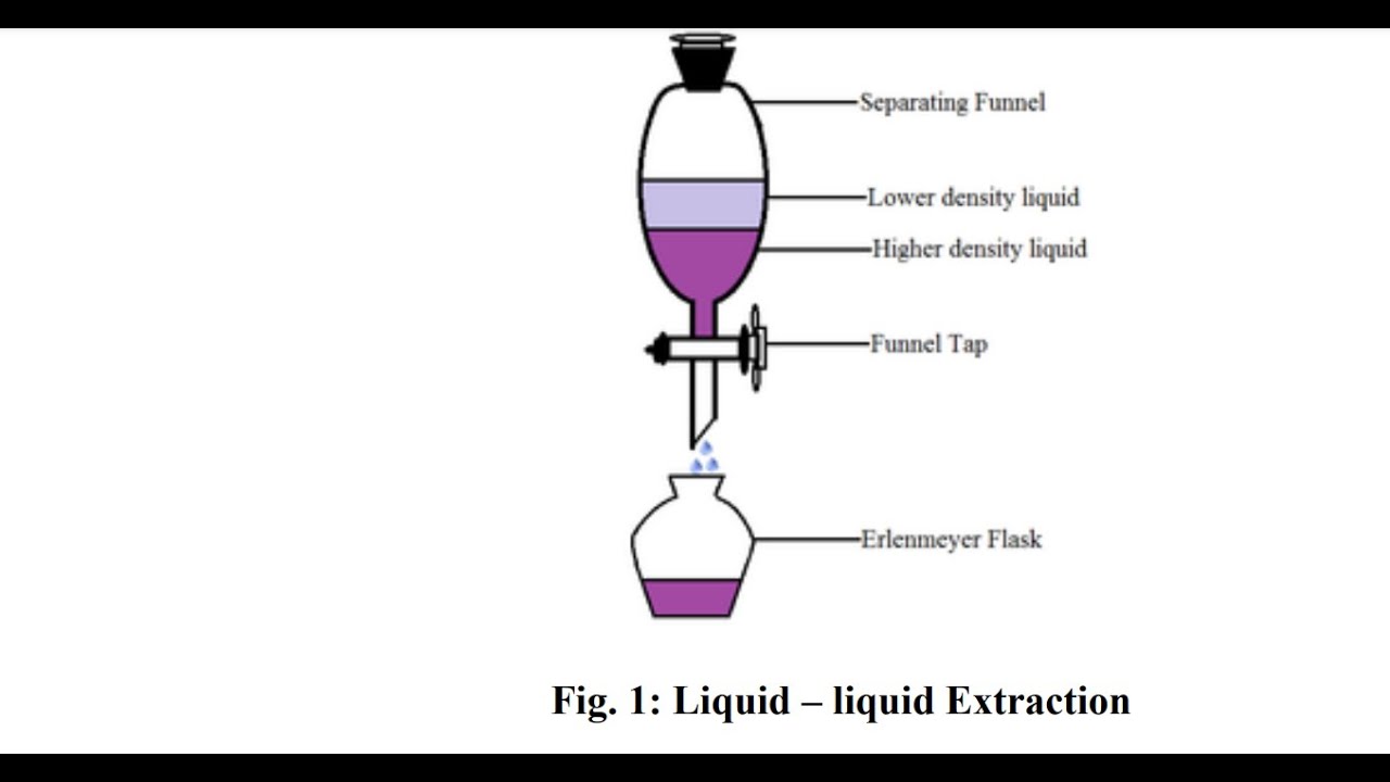 Distribution of a solute between 2 immiscible liquid - YouTube