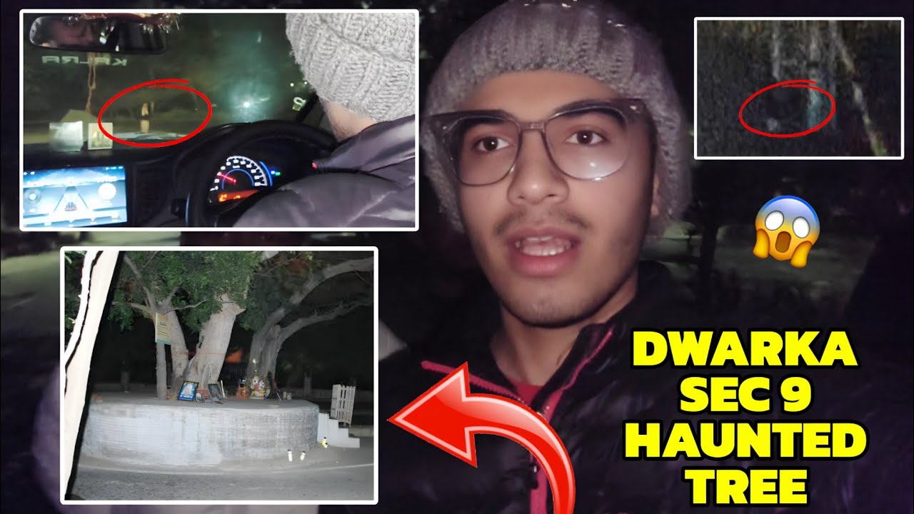 EXPLORING DWARKA SEC-9 HAUNTED TREE [UNEXPECTED REACTIONS] - YouTube