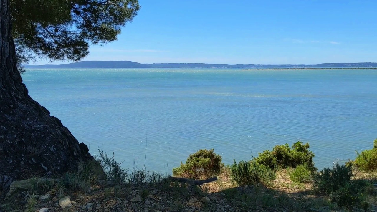 Wind blows on the lake | Le vent souffle sur le lac | Relaxing video ...