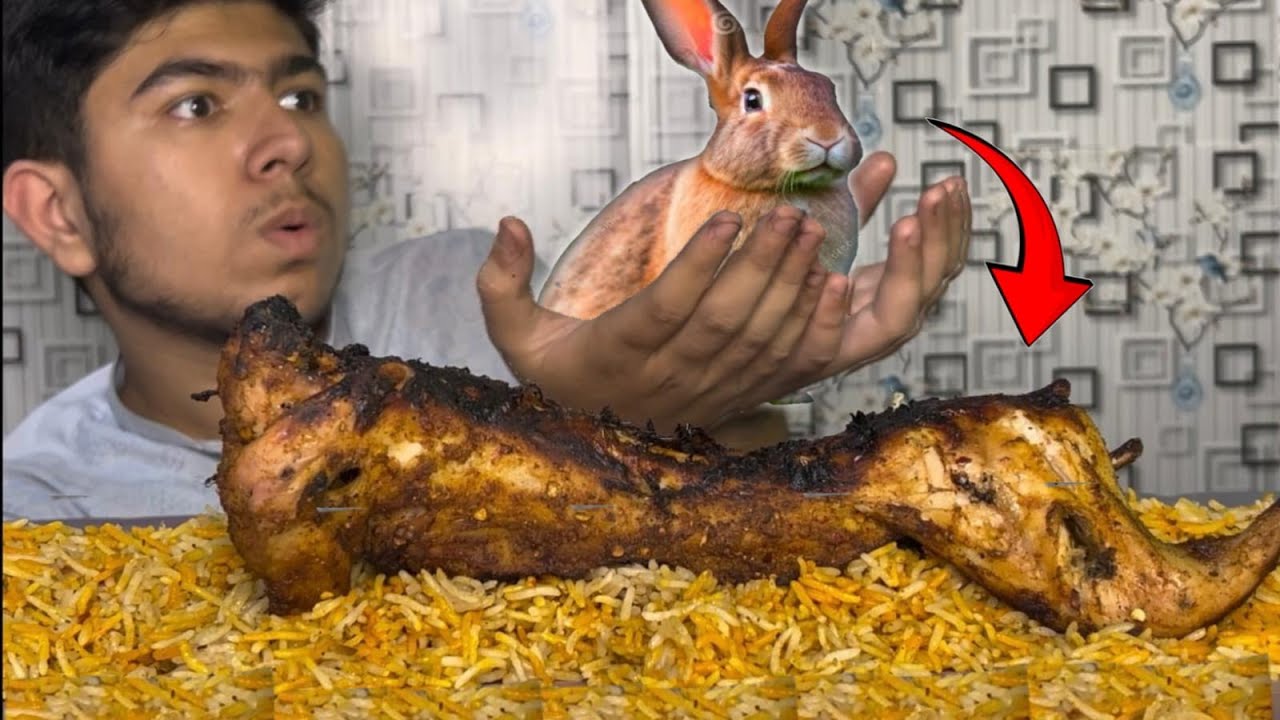 Eating RABBIT 🙃 With Spicy BIRYANI 🍚 - YouTube