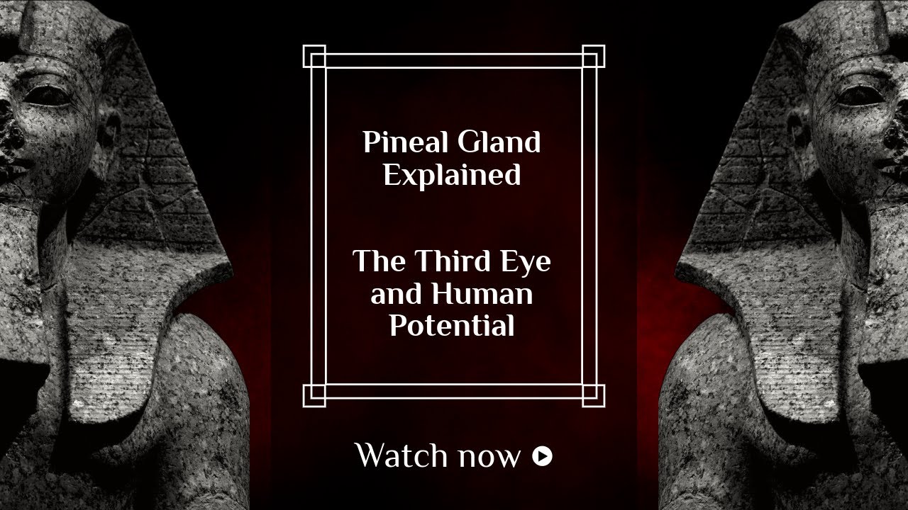 Pineal Gland Explained | The Third Eye and Human Potential - YouTube