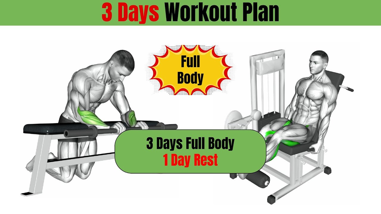 12 Weeks Workout Program| 3 Days full Body plan| Gym Guide - YouTube