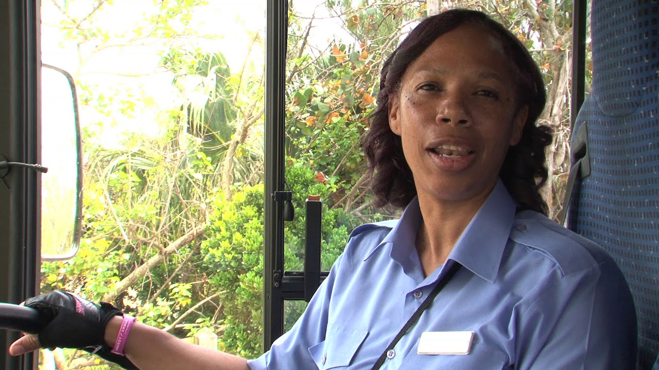Bermuda Department of Public Transportation — Bus Information - YouTube
