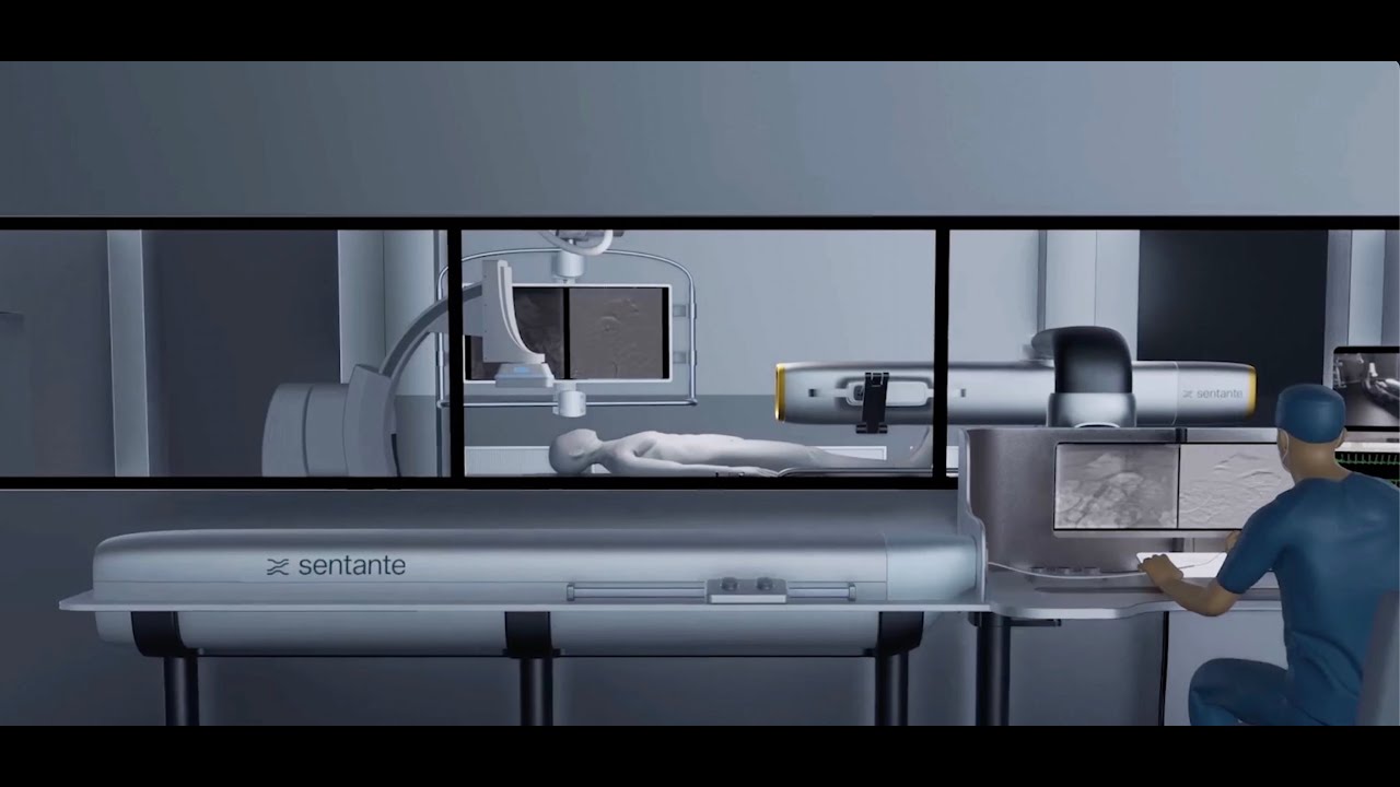 EIC ACCELERATOR: A SUCCESS STORY FROM LITHUANIA - YouTube