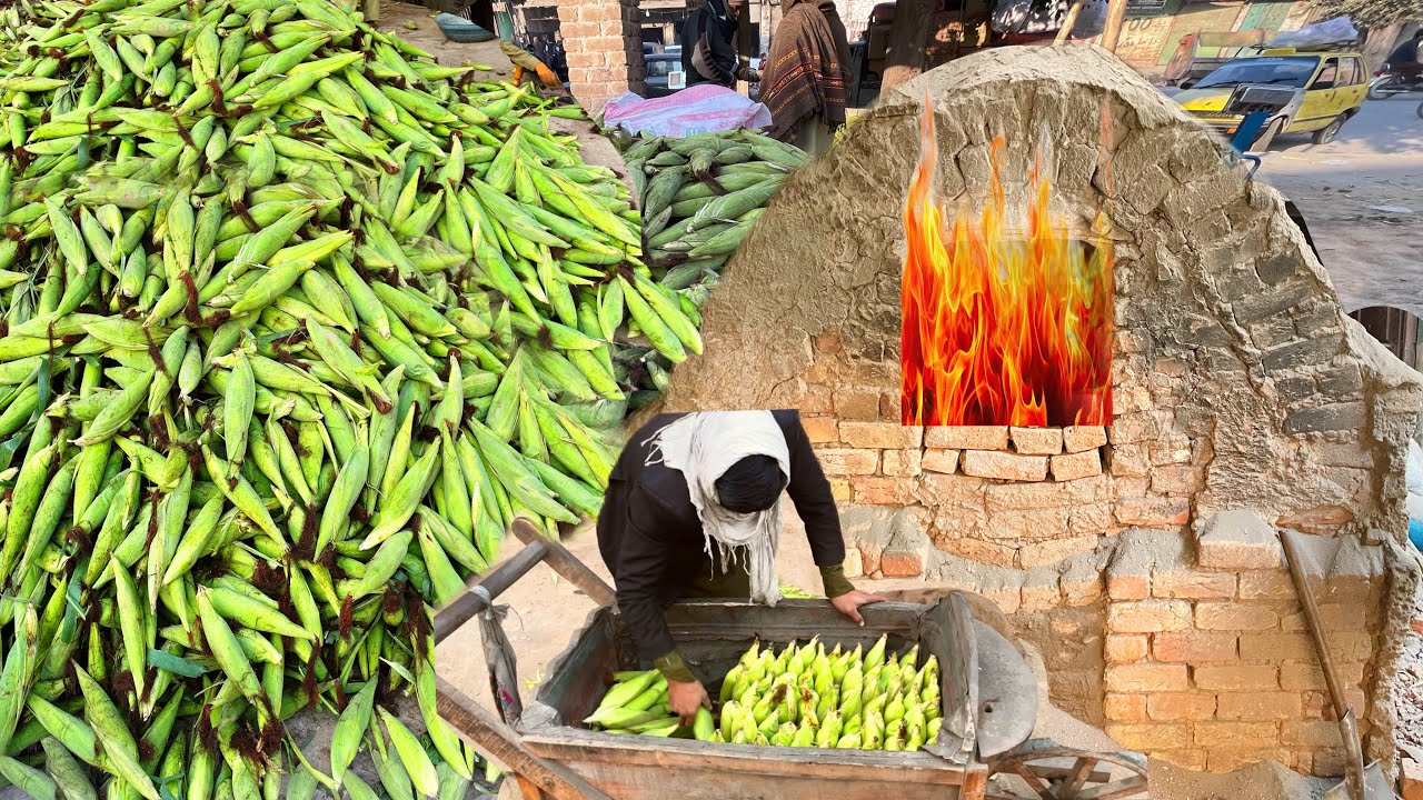 75-Year-Old Man Cooks Corn in Sand | Incredible Corn Harvesting at Mass ...