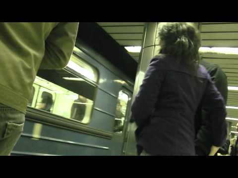 Love Birds on Metro
