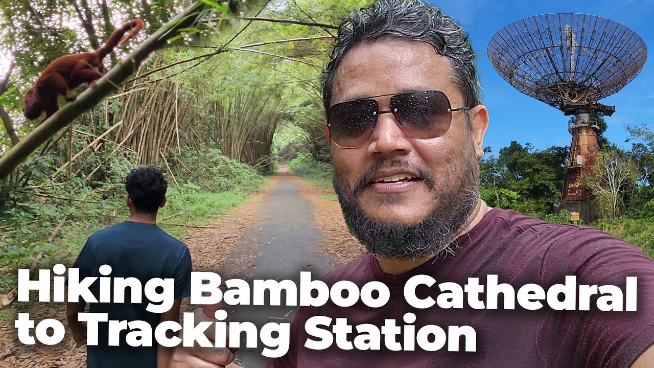 Bamboo Cathedral & Tracking Station Hike - YouTube