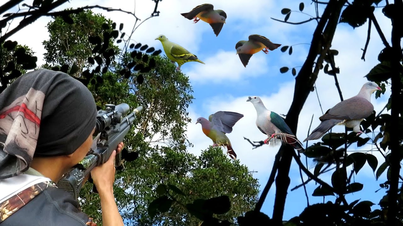 full video: hunting punai birds to cook in the forest - YouTube